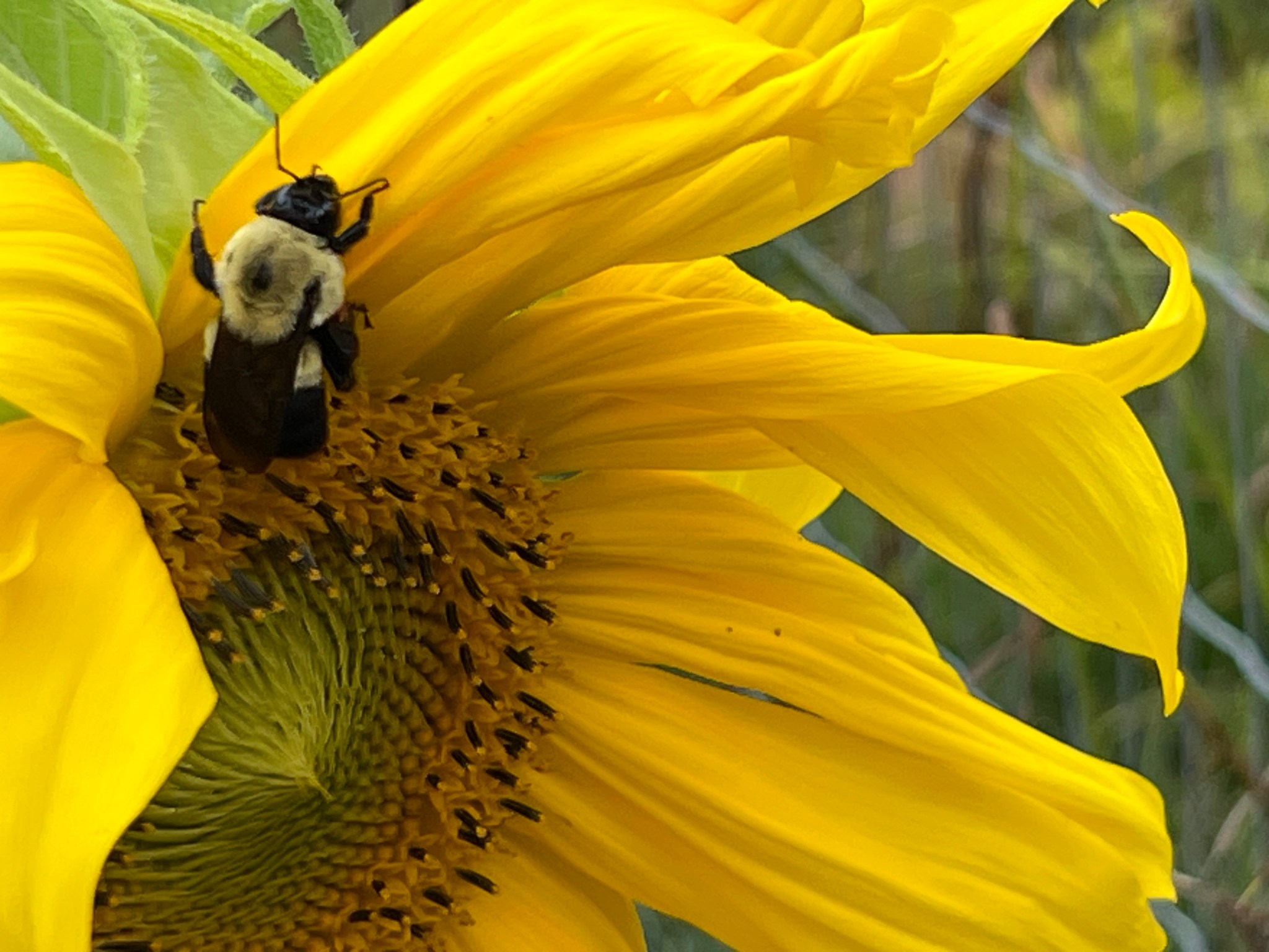 Yes, we can! (get sick of sewing) – One Stitch at a Time